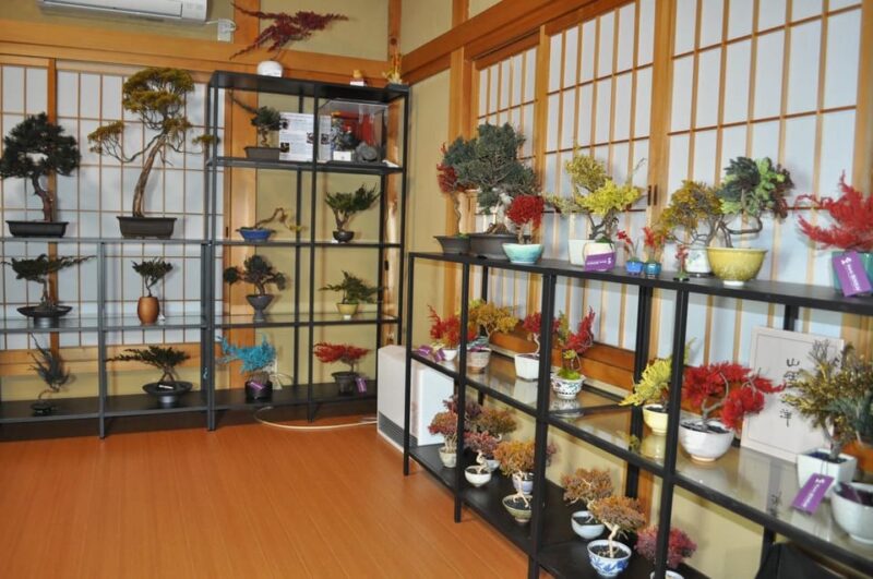 Kyoto: Dry Bonsai Workshop - Key Points
