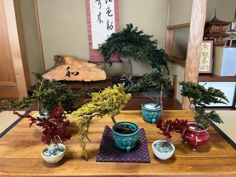 Kyoto: Dry Bonsai Workshop - Pricing and Reservations