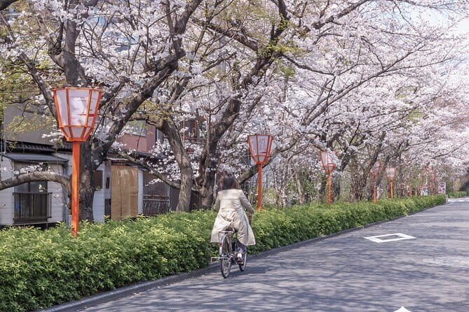 Kyoto E-Bike Tour of Hidden Gems, Backstreets and Temples - Our Take on the Experience