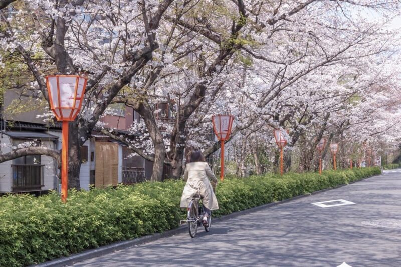 Kyoto E-Bike Tour - Inclusions