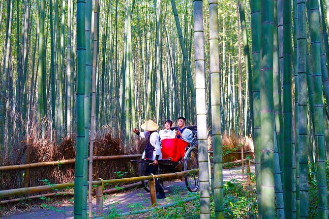 Kyoto Early Bird Tour: Fushimi Inari, Arashiyama Bamboo & Monkeys - An In-Depth Look at the Kyoto Early Bird Tour