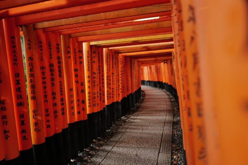 Kyoto: Early Morning Tour With English-Speaking Guide - Important Guidelines