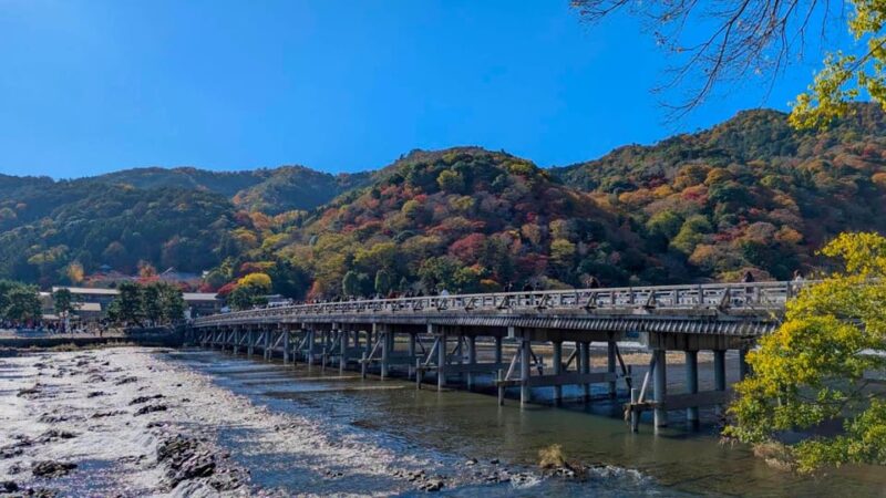Kyoto Early Morning Walking Tour: Nature & History - Key Points