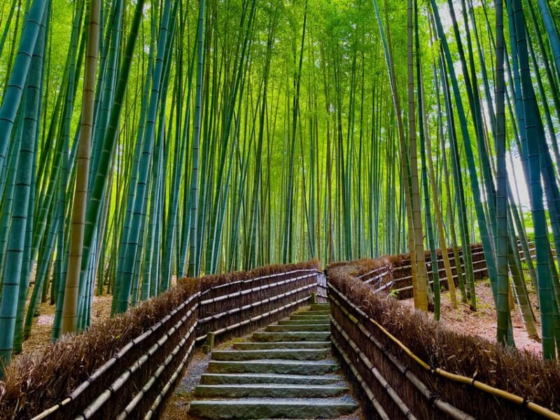 Kyoto Early Morning Walking Tour: Nature & History - Itinerary Highlights