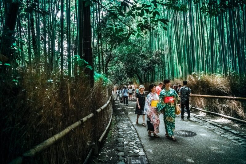 Kyoto Early Morning Walking Tour: Nature & History - Practical Tips