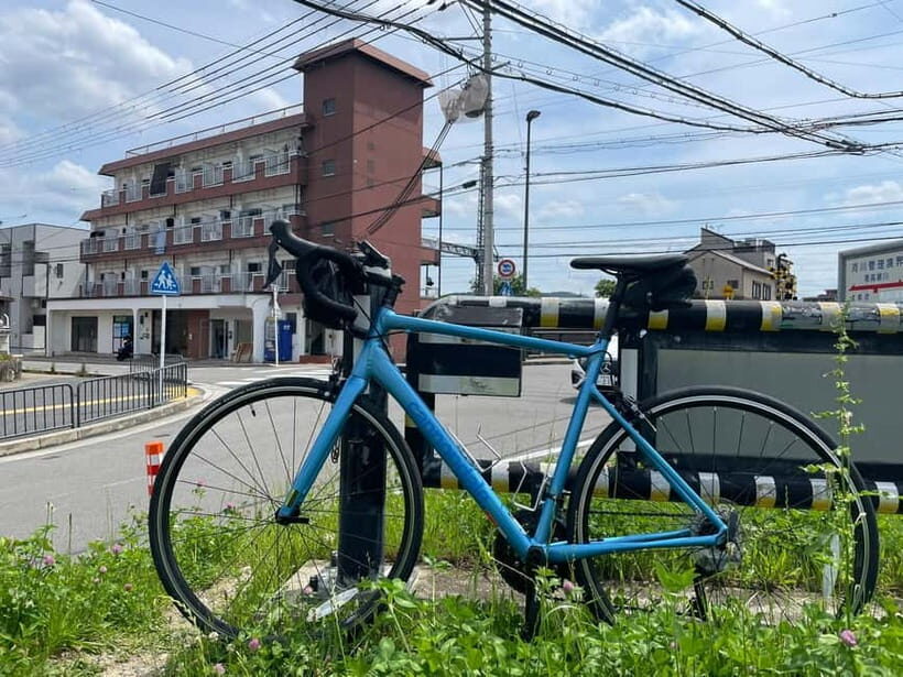 Kyoto: East Kyoto Half Day Cycling Tour - Introduction