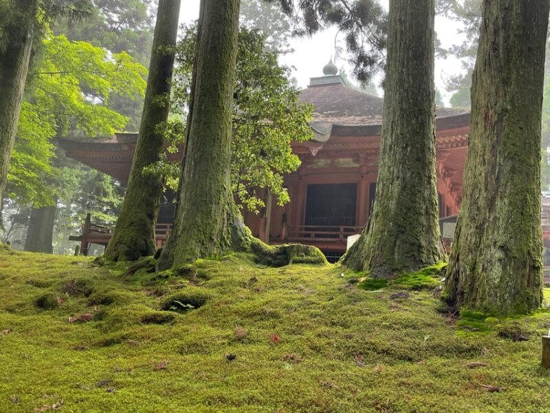Kyoto: Enryakuji - Sacred Site of Buddhism, 2-Hour Tour - Inclusions