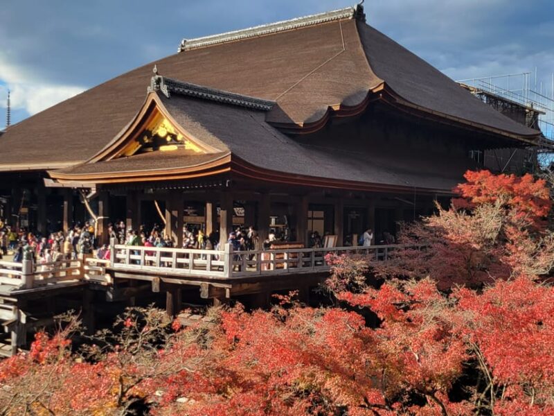 Kyoto Experience With a Local Certified Guide - Key Points