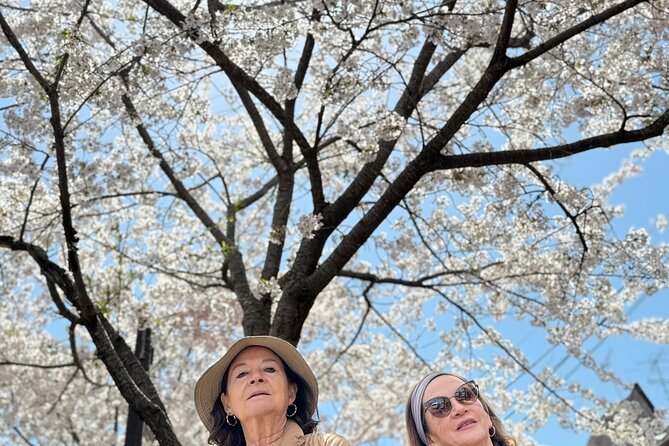 Kyoto Exploration With an Accredited Government Guide - Pickup and Accessibility