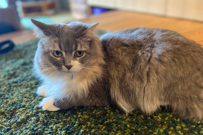 Kyoto Family Kitchen Cooking Class - Exceptional Guest Experiences