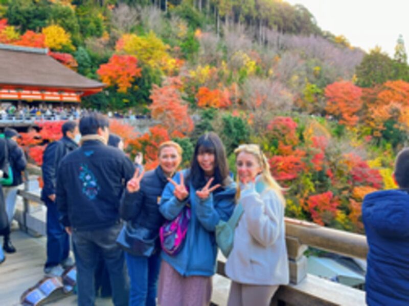 Kyoto: Full-Day Best UNESCO and Historical Sites Bus Tour - Practical Tips for Your Visit