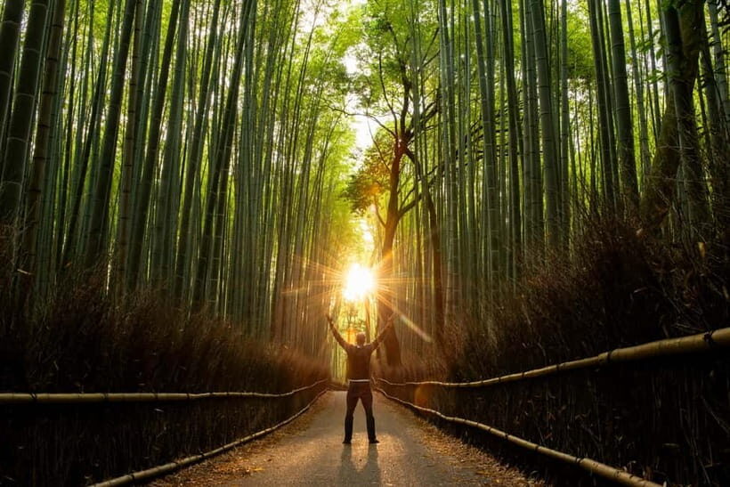 Kyoto: Full-Day Guided Bus Tour to Top Highlights & Tickets - What the Reviews Say