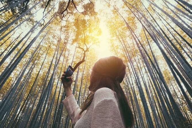 Kyoto: Full-Day Guided Bus Tour to Top Highlights with Tickets - FAQs