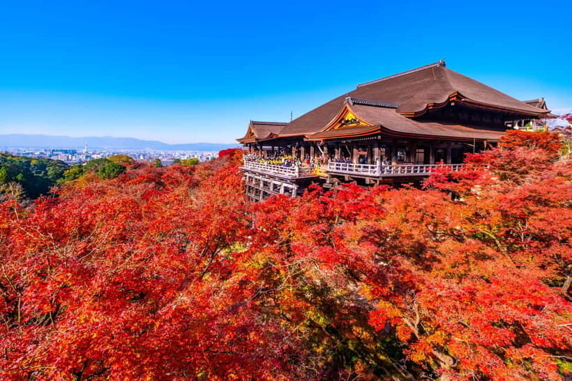 Kyoto: Full-Day Guided Tour of Kyoto's Top Highlights - A Detailed Breakdown of the Day