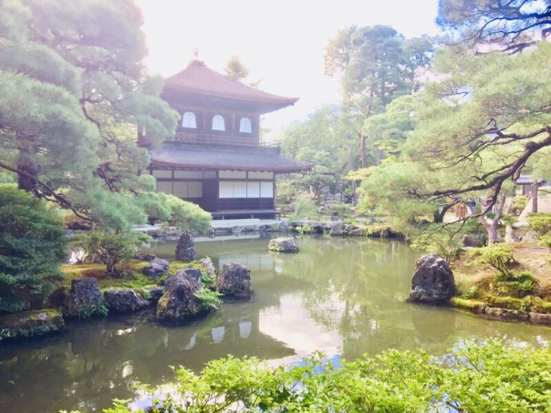 Kyoto: Full-Day Private Guided Tour of Temples and Shrines - Philosophers Path