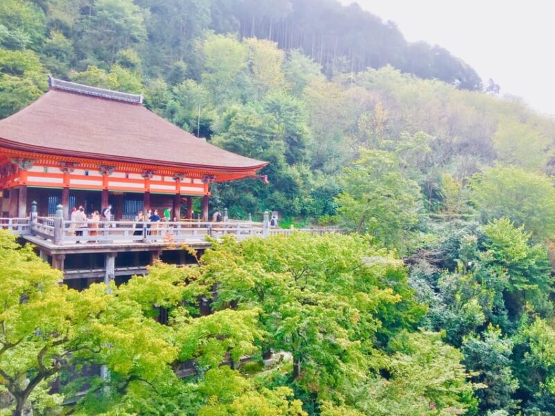 Kyoto: Full-Day Private Guided Tour of Temples and Shrines - Ginkaku-ji (Silver Pavilion)
