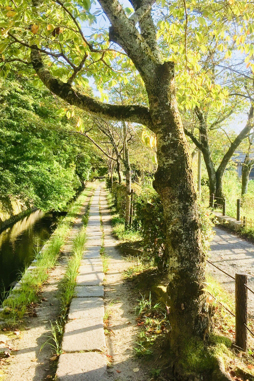 Kyoto: Full-Day Private Guided Tour of Temples and Shrines - Cultural Significance