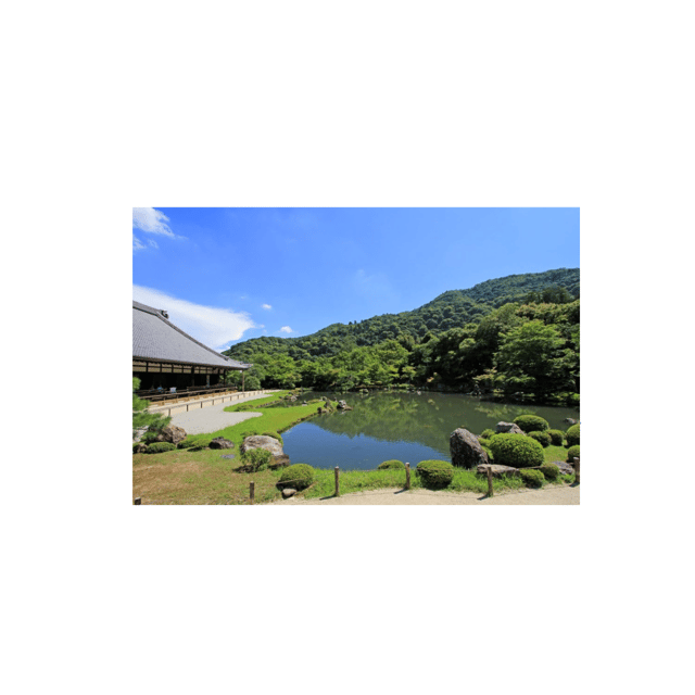 Kyoto: Full Day UNESCO And Historical Sites Private Car Tour - Key Points