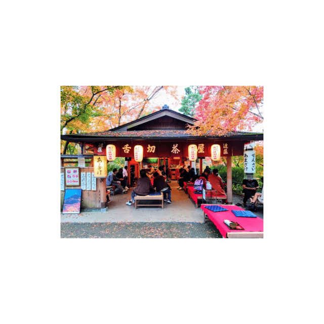 Kyoto: Full Day UNESCO And Historical Sites Private Car Tour - Kiyomizu-Dera: a Glimpse Into Kyotos Spiritual Heritage