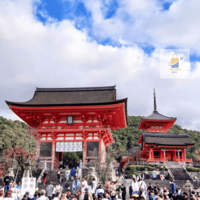 Kyoto: Full Day UNESCO And Historical Sites Private Car Tour - Key Points