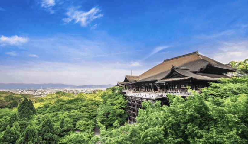 Kyoto: Fully-Customized One-day Private Tour - Exploring Kyoto on Your Terms