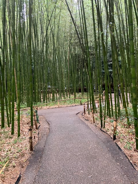 Kyoto: Fushimi Inari, Kinkakuji & Bamboo Grove Private Tour - Arashiyama Bamboo Forest