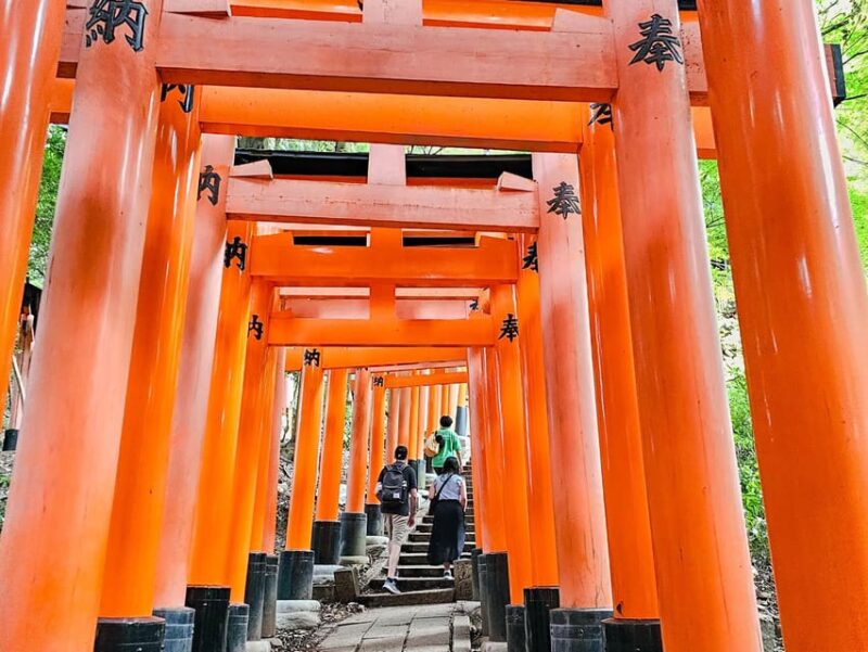 Kyoto: Fushimi Inari Taisha Guided Walking Tour - Inclusions and Exclusions