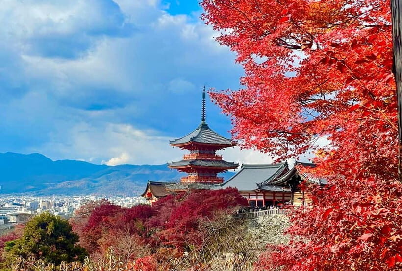 Kyoto: Fushimi Inari-taisha y Kiyomizu-dera (Spanish Guide) - Key Points