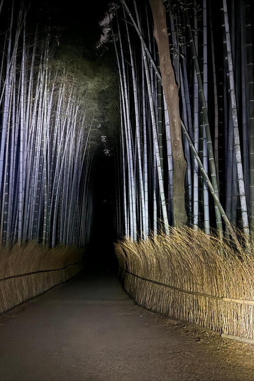 Kyoto: Ghost Tour - Legends, Dark Tales, Bamboo Forest Night - Key Points