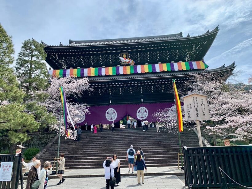 Kyoto: Gion District Walking with an Expert Local Tour Guide - Who Will Enjoy This Tour?