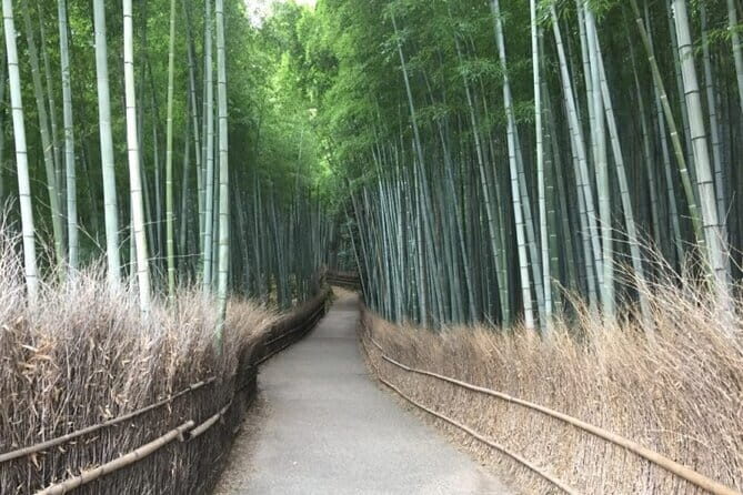 Kyoto: Gion, Kiyomizu Temple and Nishiki Market Tour - FAQ