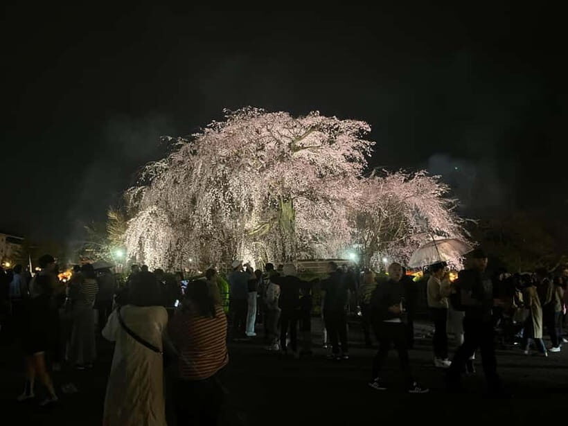 Kyoto: Gion Walking Tour - The Sum Up