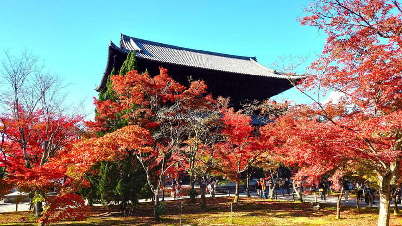Kyoto: Guided Cycling Tour along Higashiyama's Waterfront - What to Expect During the Tour