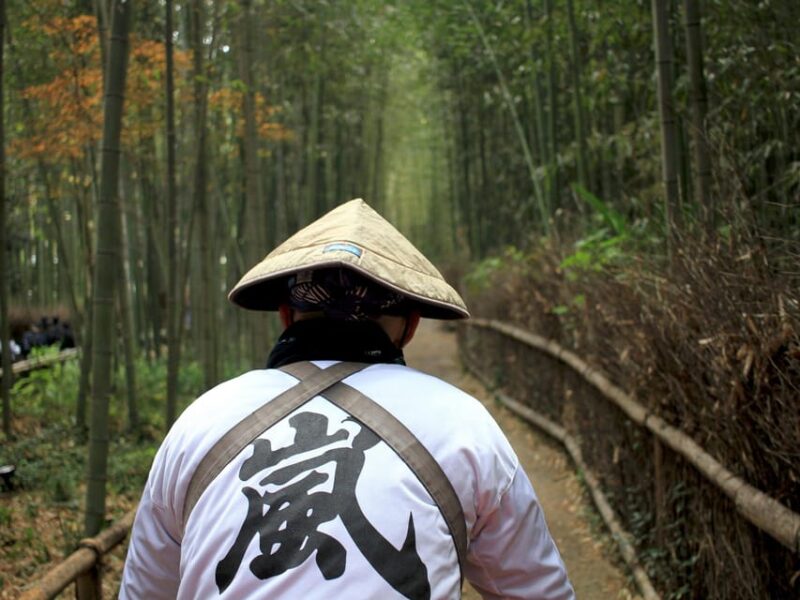 Kyoto: Guided Tour of UNESCO Sites, Shrines, and Temples - Dining and Dietary Requests