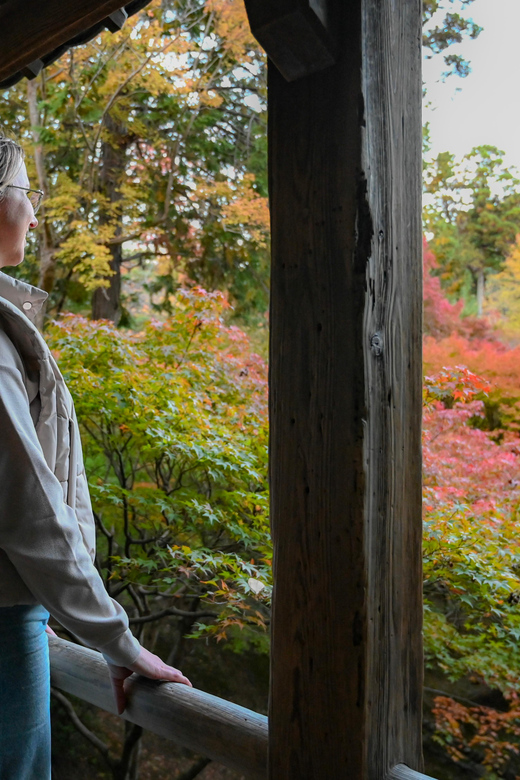 Kyoto: Half-Day Guided Bike Tour With Fushimi Inari - Gion District