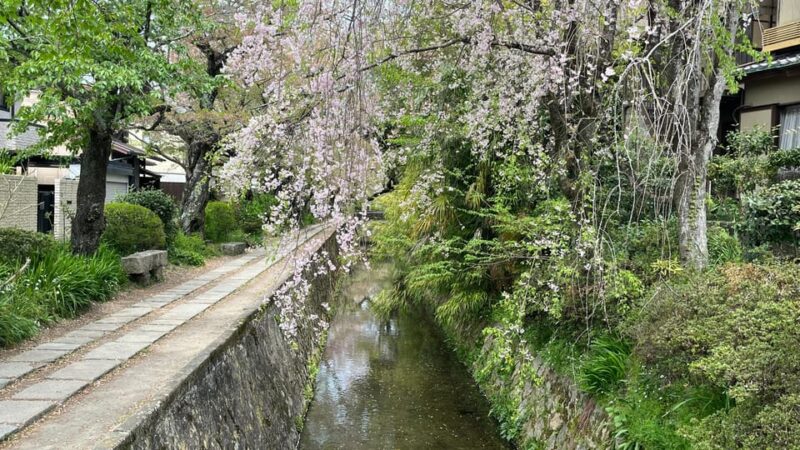 Kyoto: Half-Day Private Guided Tour of the Silver Pavilion - Exploring the Suirokaku Viaduct