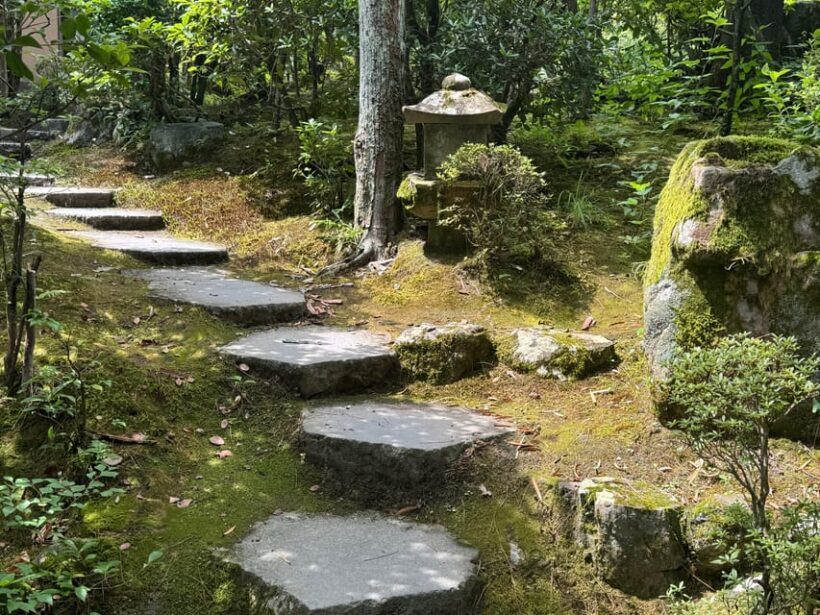 Kyoto: Heian Jingu Tour - Roots of Kyoto & Scenic Gardens - Practical Details and What to Expect