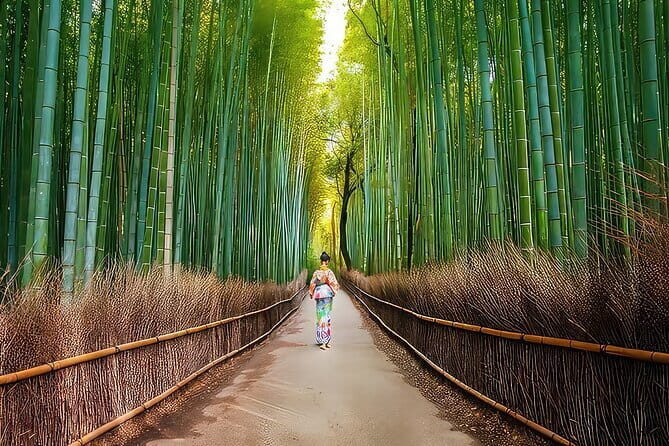Kyoto Heritage Run - Venture through historical Kyoto landmarks - Who will love this tour?