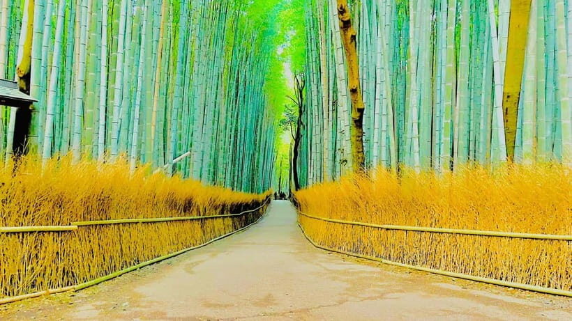 Kyoto: Hidden Gems and Culture Tour for 4 Travelers - Key Points