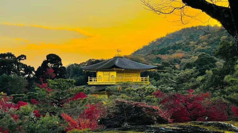 Kyoto: Hidden Gems and Culture Tour for 4 Travelers - Who Should Consider This Tour?