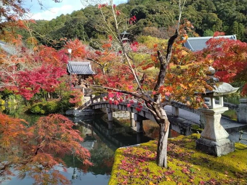 Kyoto: Higashiyama Hues: Discover Kyoto's Autumn Magic - What Makes This Tour Special?