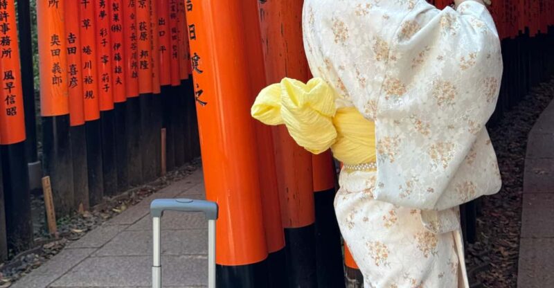 Kyoto Highlight Private Tour - Experience and Highlights