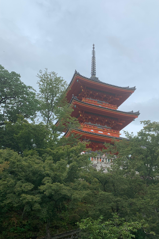 Kyoto Highlight Private Tour - Main Stops