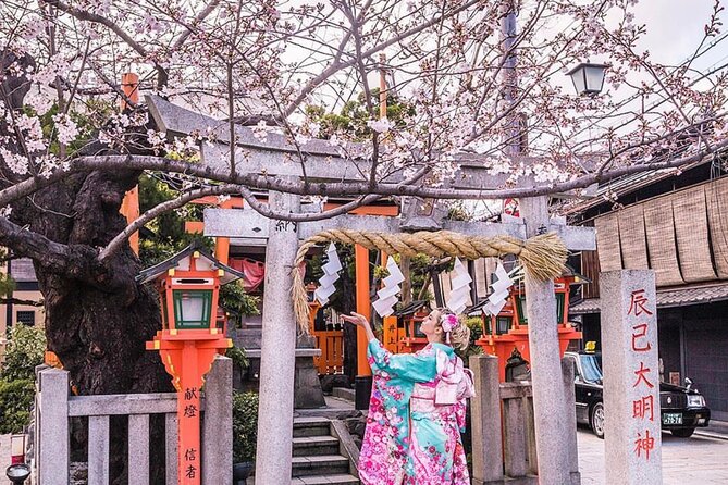 Kyoto Highlight Private Tour With English Speaking Driver - Exclusions