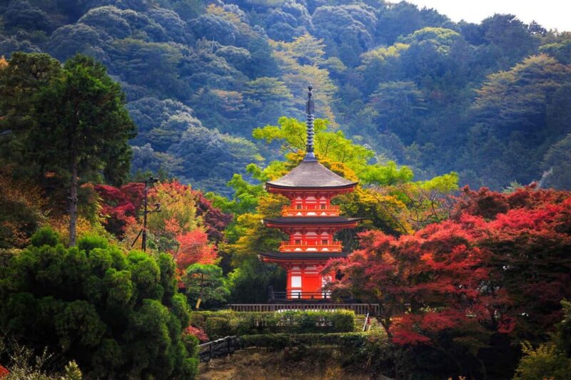 Kyoto: Highlight Tour With English-Speaking Guide - Immerse in the Beauty of Kiyomizu-dera