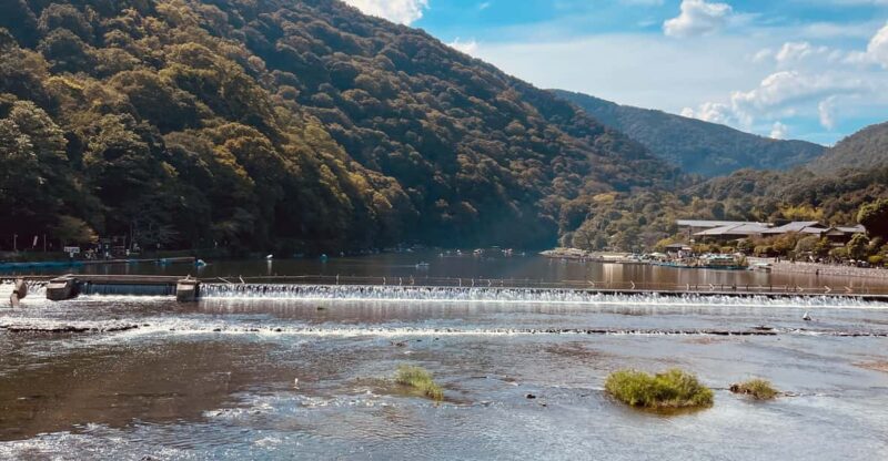 Kyoto: Highlights of Arashiyama in 2 Hours - Guided Tour - Experience and Guidance