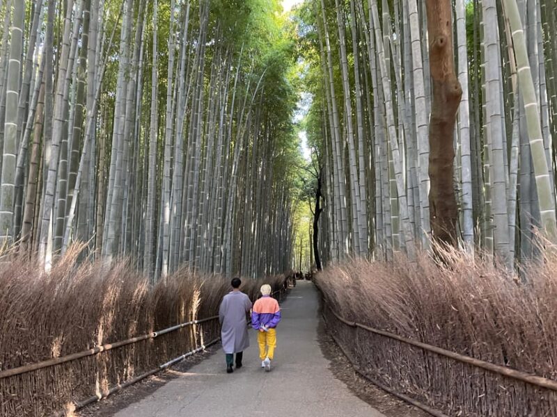 Kyoto: Highlights of Arashiyama in 2 Hours - Guided Tour - Frequently Asked Questions