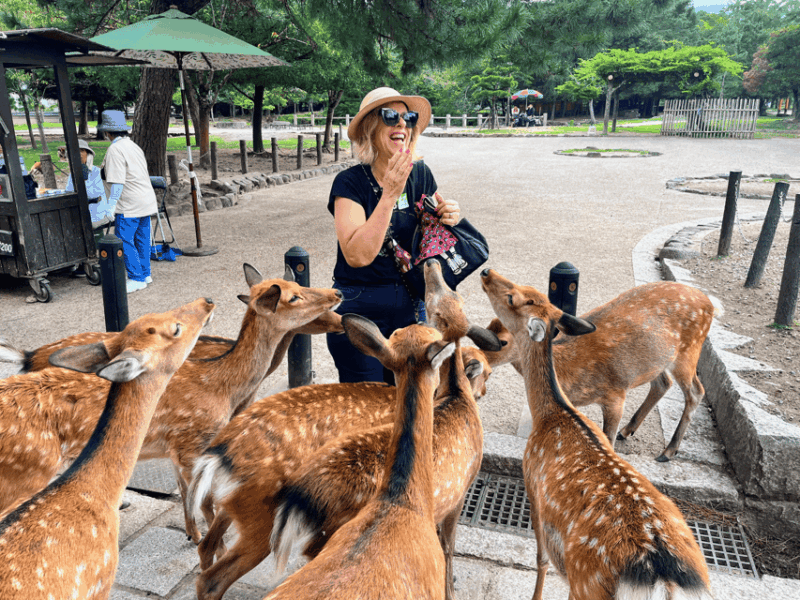 Kyoto: Historical Nara & Kyoto Bus Tour - Itinerary and Highlights