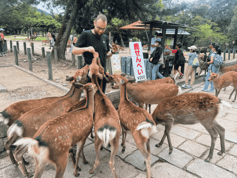 Kyoto: Historical Nara & Kyoto Bus Tour - What to Bring and Meal Arrangements