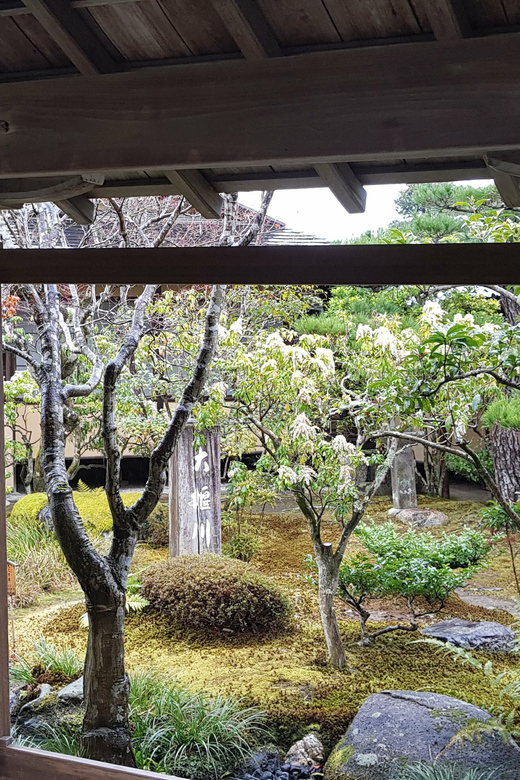 Kyoto: Immersive Arashiyama & Fushimi Inari by Private Car - Frequently Asked Questions
